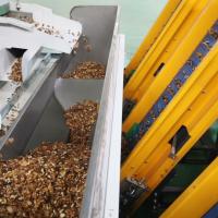 China Deep Learning Nut Kernel Color Sorting Equipment Multi-Angle Camera 8 Lane High Throughput Walnut Classifier with SS 304 for sale
