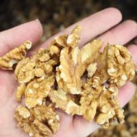 China Precision Walnut Kernel Sorting Equipment 4 Lane Compact Design Low Power Consumption Small Processor Nut Sorter for sale
