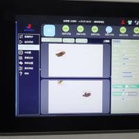 China Automatic Walnut Kernel Sorting System Real-Time Cleaning Continuous Production High Recovery Rate Nut Processor for sale