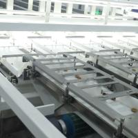 China Automatic Walnut Kernel Sorting System Real-Time Cleaning Continuous Production High Recovery Rate Nut Processor for sale