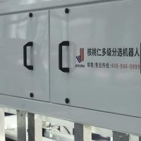 China Multi-Grade Walnut Kernel Separating Machine Uses Adaptive 12-Channel Outlets For Precise Nut Size Classification for sale