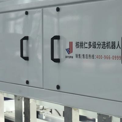 China Multi-Grade Walnut Kernel Separating Machine Uses Adaptive 12-Channel Outlets For Precise Nut Size Classification for sale