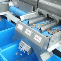 China Multi-Grade Walnut Kernel Separating Machine Uses Adaptive 12-Channel Outlets For Precise Nut Size Classification for sale