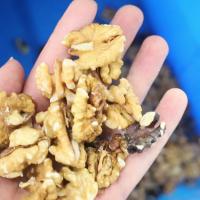 China Smart Walnut Kernel Sorting Unit Provides Gentle High-Frequency Feeding For Low Breakage Nut Processing Results for sale