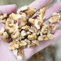 China Commercial Walnut Kernel Color Sorter Uses Shadowless Lighting Technology For Better High Accuracy Defect Recognition for sale