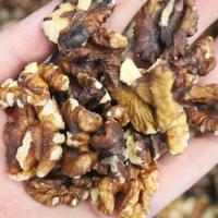 China Commercial Walnut Kernel Color Sorter Uses Shadowless Lighting Technology For Better High Accuracy Defect Recognition for sale
