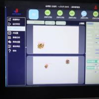 China Professional Walnut Kernel Grading System Features Servo Control For Fast Response And Quiet Workplace Operation for sale