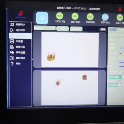 China Professional Walnut Kernel Grading System Features Servo Control For Fast Response And Quiet Workplace Operation for sale