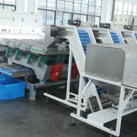 China Professional Walnut Kernel Grading System Features Servo Control For Fast Response And Quiet Workplace Operation for sale