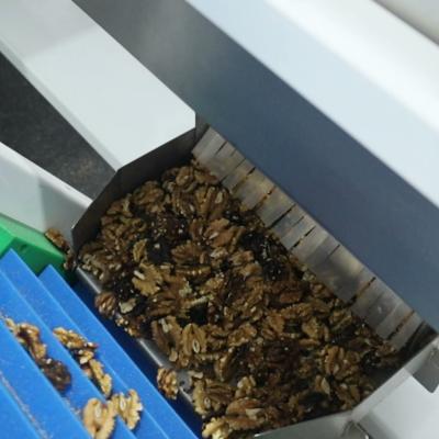 China High-Throughput Walnut Kernel Sorting Machine Handles Large Volume Nut Processing With 8 Continuous Feed Lanes 720kg/h for sale