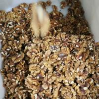 China High-Throughput Walnut Kernel Sorting Machine Handles Large Volume Nut Processing With 8 Continuous Feed Lanes 720kg/h for sale