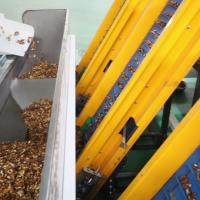 China This Compact Walnut Kernel Separating Equipment Offers Small Footprint Design With Easy Quick Installation Process 8 lane for sale
