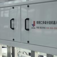 China Advanced Walnut Kernel Classification Machine Provides Complete Dual-Side Inspection Coverage For Hidden Defect Finding Higher accuracy with 12 outlets for sale