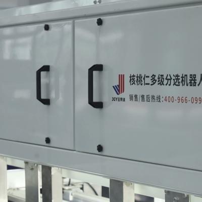 China Advanced Walnut Kernel Classification Machine Provides Complete Dual-Side Inspection Coverage For Hidden Defect Finding Higher accuracy with 12 outlets for sale
