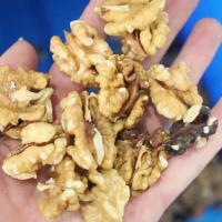 China Advanced Walnut Kernel Classification Machine Provides Complete Dual-Side Inspection Coverage For Hidden Defect Finding Higher accuracy with 12 outlets for sale