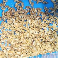 China This Industrial Walnut Kernel Sorting Platform 8 lane + 12 outlets processes 720kgs of kernel per hour With Extended Long Service Life for sale