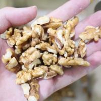 China This Industrial Walnut Kernel Sorting Platform 8 lane + 12 outlets processes 720kgs of kernel per hour With Extended Long Service Life for sale