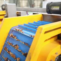 China Flexible Walnut Kernel Grading Equipment Supports Multiple Nut Types With Adjustable Versatile Processing Settings upto 12 outlets for sale