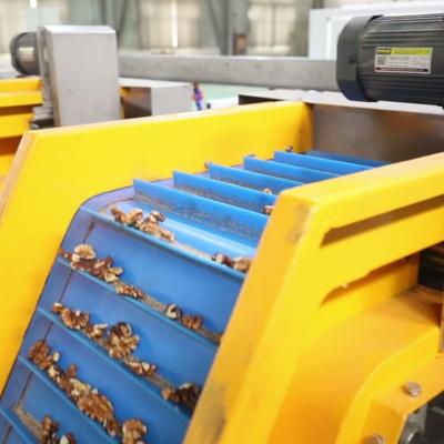 China Flexible Walnut Kernel Grading Equipment Supports Multiple Nut Types With Adjustable Versatile Processing Settings upto 12 outlets for sale