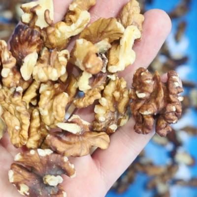 China Intelligent walnut kernel sorting machine with 4-camera multi-angle scanning and one-key operation, replacing manual sorting at 280–360 kg/h for sale