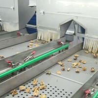 China Intelligent walnut kernel sorting machine with 4-camera multi-angle scanning and one-key operation, replacing manual sorting at 280–360 kg/h for sale