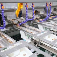 China Intelligent walnut kernel sorting machine with integrated all-in-one design, scaling commercial operations to 280–360 kg/h for sale
