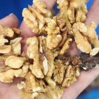 China Intelligent walnut kernel sorting machine with integrated all-in-one design, scaling commercial operations to 280–360 kg/h for sale
