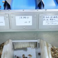 China Smart walnut kernel sorting machine with real-time automatic cleaning and sealed camera housings, maintaining accuracy in dusty environments at 280–360 kg/h for sale