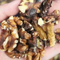China Quick walnut kernel sorting machine with Teflon conveyor and real-time cleaning, enabling food-safe sorting with traceable grading records at 280–360 kg/h for sale