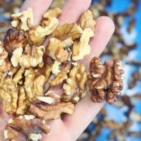 China Intelligent walnut kernel sorting machine with shadowless lamp and one-key operation, handling variable raw material quality at 280–360 kg/h for sale