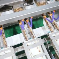 China Quick walnut kernel sorting machine with industrial-grade components and automatic cleaning, minimizing maintenance downtime at 280–360 kg/h for sale
