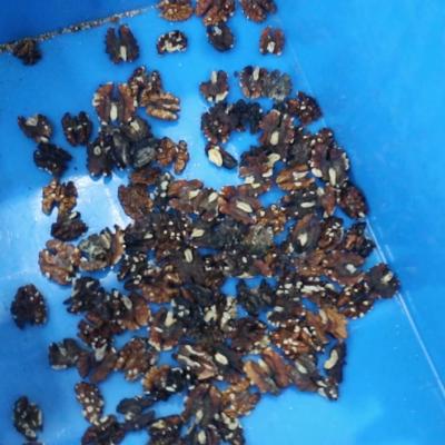 China Smart walnut kernel sorting machine with deep learning multi-profile capability and 12 adaptive outlets, enabling flexible multi-variety nut processing for sale