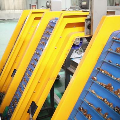 China Intelligent walnut kernel sorting machine with 4-angle multi-camera scanning and shadowless lamp, detecting hidden surface defects at commercial pace for sale