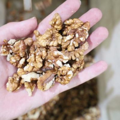 China Quick walnut kernel sorting machine with one-key intelligent operation and real-time monitoring, enabling fast batch turnaround at 280–360 kg/h for sale