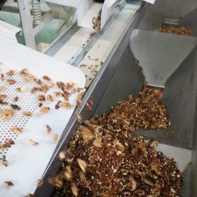 China Intelligent walnut kernel sorting machine with 12 multi-grade adaptive outlets and one-key operation, integrating directly into processing center production lines at 560–720 kg/h for sale