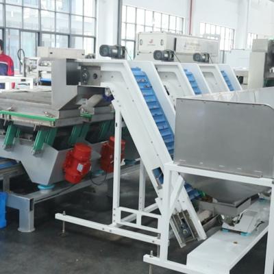 China Quick walnut kernel sorting machine with 8-camera AI classification and centroid algorithm, reducing production rework at 560–720 kg/h for sale