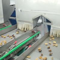 China Intelligent walnut kernel sorting machine with 8 HD cameras and real-time grading log, meeting supply chain grade compliance at 560–720 kg/h for sale