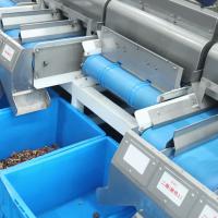 China Intelligent walnut kernel sorting machine with 8 HD cameras and real-time grading log, meeting supply chain grade compliance at 560–720 kg/h for sale