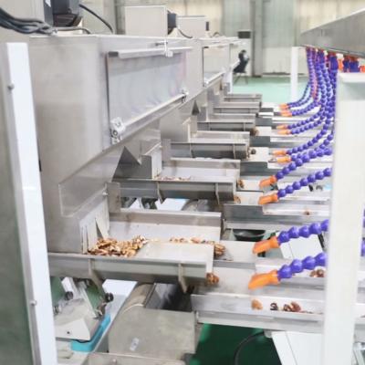 China Smart walnut kernel sorting machine with high-frequency vibrator and 12 adaptive outlets, matching full factory line speed at 560–720 kg/h for sale