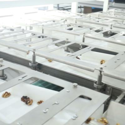 China Quick walnut kernel sorting machine with 8-camera redundant coverage and deep learning AI, maintaining consistent grades across full export container quantities at 560–720 kg/h for sale