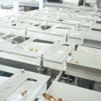 China Intelligent walnut kernel sorting machine with automatic real-time cleaning and industrial-grade bearings, eliminating sorting-related production line downtime at 560–720 kg/h for sale