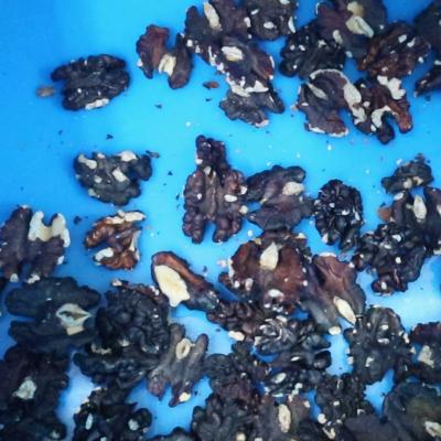 China Smart walnut kernel sorting machine with shadowless lamp and centroid-targeted ejection, maximizing premium grade capture rate at 560–720 kg/h for sale