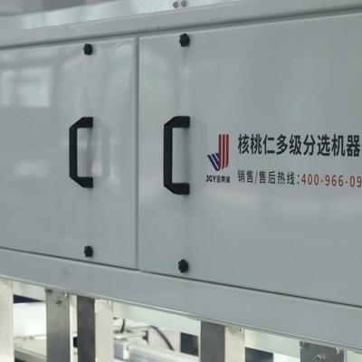 China Smart walnut kernel sorting machine with high-frequency vibrator and automatic real-time cleaning, sustaining sorting accuracy across full shifts at 280–360 kg/h for sale