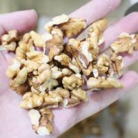 China Smart walnut kernel sorting machine with high-frequency vibrator and automatic real-time cleaning, sustaining sorting accuracy across full shifts at 280–360 kg/h for sale