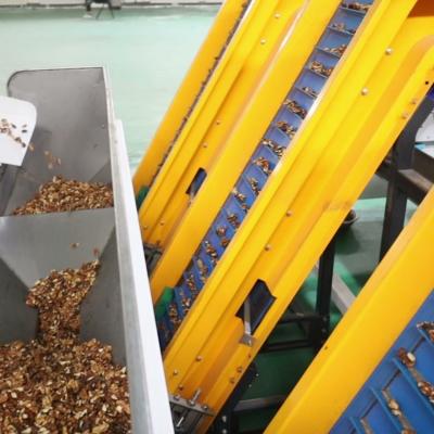 China Intelligent walnut kernel sorting machine with centroid algorithm and high-frequency solenoid valve, improving premium-grade ejection accuracy at commercial throughput for sale
