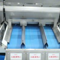 China Smart walnut kernel sorting machine with integrated all-in-one design and one-key operation, delivering commercial-grade sorting at 280–360 kg/h for sale