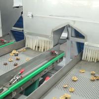 China Intelligent walnut kernel sorting machine with deep learning neural network and real-time data display, generating documented grade yield for buyer price negotiations for sale