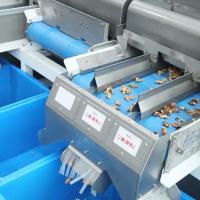 China Intelligent walnut kernel sorting machine with deep learning neural network and real-time data display, generating documented grade yield for buyer price negotiations for sale
