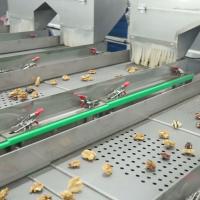 China Smart walnut kernel sorting machine with deep learning AI and industrial-grade components, supporting long-term commercial growth at 280–360 kg/h for sale