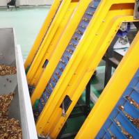 China Quick walnut kernel sorting machine with one-key operation and real-time monitoring display, reducing factory-scale sorting labor to single-operator management at 560–720 kg/h for sale